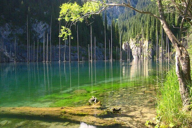 1 Day Express Tour: Charyn Canyon, Kaindy & Kolsay Lakes - A Detailed Look at the Experience