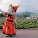 1 Day Family Fun at Fuji with Private Car - Who Is This Tour Perfect For?