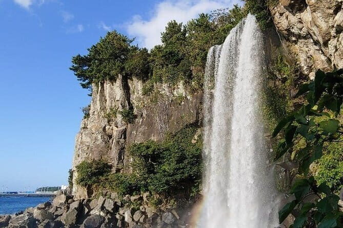 1 Day Free schedule Tour a lot of experince driver in jeju island - Who Will Love This Tour?