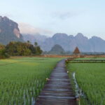 1 Day Guided Tour in Cave from Vang Vieng - What You Can Expect: The Practicalities