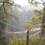 1 day hike to Phulchwoki - Summary: Is This Tour Worth Your Time?