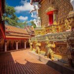 1 Day Khao Sok Jungle Safari and 2 Days Cheow Lan Lake Explorer from Krabi - The Role of Guides and Food