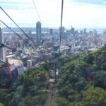 1-Day Kobe Highlights Tour including Sake Tasting - Practical Details: Making the Most of Your Day