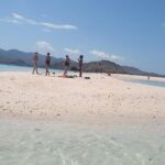 1- day Komodo island Tour hopping around by Speed Boat - The Practicalities: What You Need to Know