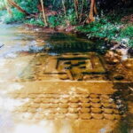 1 Day | Local Experiences & Floating Village Tour - The Highlight: Tonle Sap Lake