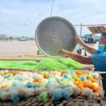 1 Day Mekong Tour: Cai Rang Floating Market & MyTho-Ben Tre - The Experience in Detail: What to Expect from Start to Finish