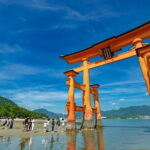 1-Day Miyajima Sightseeing Tour - Value and Practicality: What Travelers Should Know