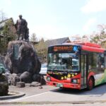1 Day Nikko Walking Tour, Toshogu and Kanmangafuchi from Tokyo - What Could Be Improved