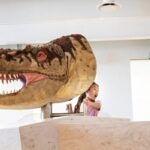 1 Day of Dinosaurs and Hoodoos From Calgary to the Drumheller - Diving into the Itinerary: What This Tour Brings to Your Day