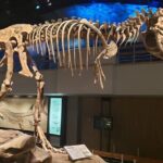 1 Day of Drumheller Dinosaurs and Badlands in Private Custom Tour - What the Reviews Say