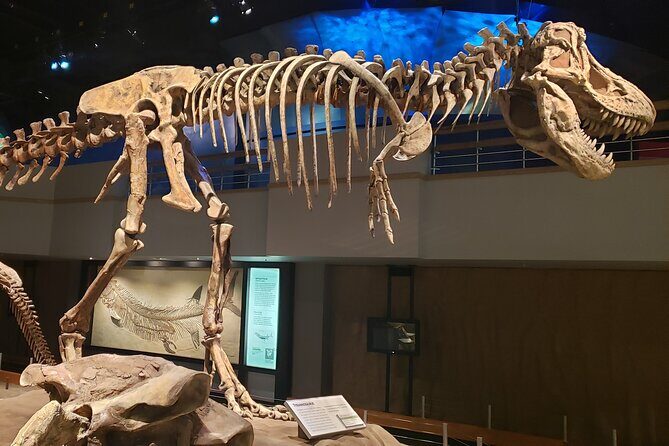 1 Day of Drumheller Dinosaurs and Badlands in Private Custom Tour - What the Reviews Say