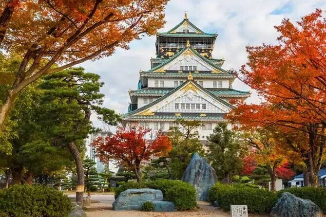 1 Day Osaka Private Tour with English Speaking Guide - Transportation and Price: What’s the Real Value?