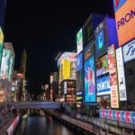 1-Day Osaka to Kyoto: Temples, Castles & Culture Tour - Who Would Love This Tour?