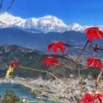 1 Day Pokhara Tour from Kathmandu by flight - Is This Tour Worth It?