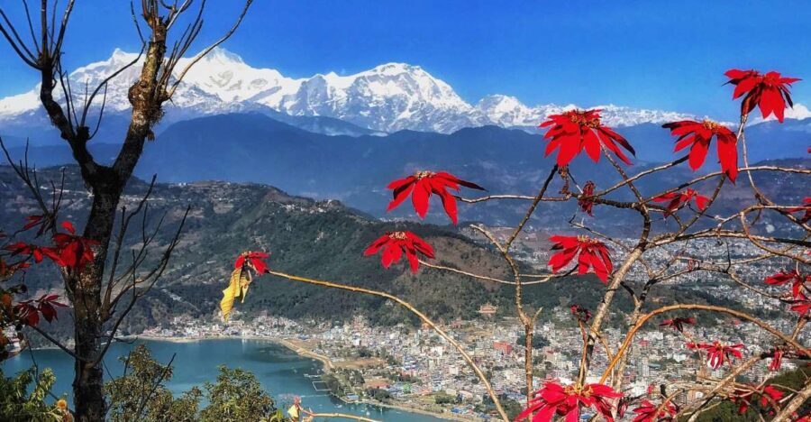 1 Day Pokhara Tour from Kathmandu by flight - Is This Tour Worth It?