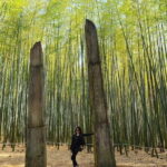 1 Day Private Busan Guided Tour - Why This Tour Offers a Noteworthy Experience