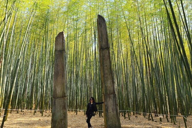 1 Day Private Busan Guided Tour - Why This Tour Offers a Noteworthy Experience