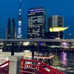 1 Day Private Charter Tokyo Sight Seeing green number plate - What Makes This Tour Stand Out