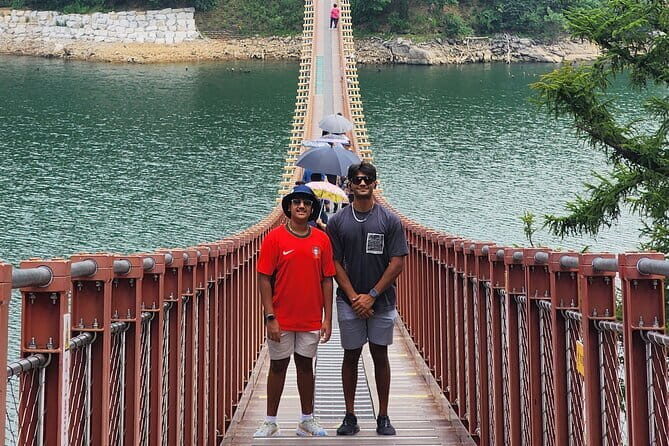 1 Day Private Full DMZ Tour in Seoul with Crystal Gondola - Who is this tour best suited for?