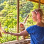 1-Day Private Snow Monkey ZenkoJi Temple & SakeTasting NaganoTour - Transportation and Timing