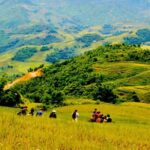 1 day Private tour Sapa trekking Y Linh Ho - Lao Chai - Ta Van (start from Sapa) - Key Points