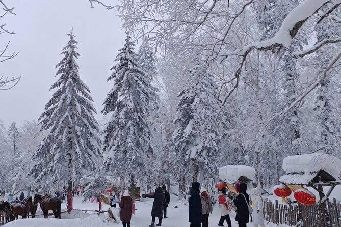 1 Day Private Tour to China Snow Village - Why the Tour Offers Good Value