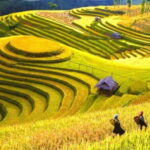 1 Day Sapa Tour Explore Y Linh Ho And Lao Chai And Ta Van Village - What You Can Expect from Your Guide