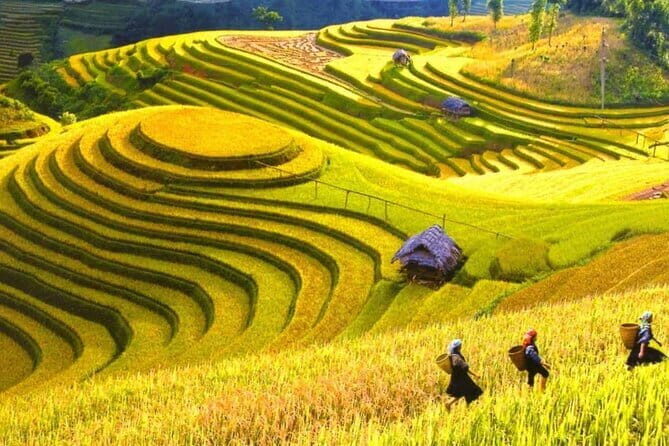 1 Day Sapa Tour Explore Y Linh Ho And Lao Chai And Ta Van Village - What You Can Expect from Your Guide
