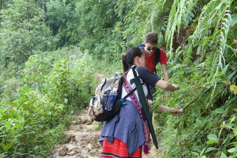 1 Day Sapa Trek&Home-cooked Lunch HmongSisterHouse&Trekking - Discovering Sapa’s Richness in a Day