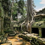 1 day special Tour: Angkor Wat,Bayon,Ta Prohm, Bantey srei and Beng Mealea - What to Expect from the Experience