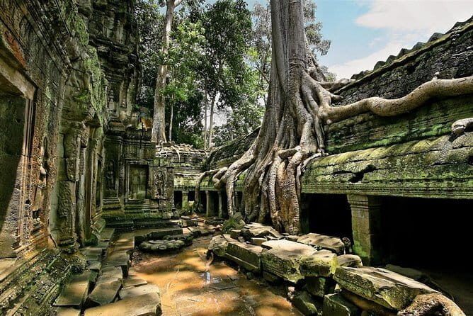 1 day special Tour: Angkor Wat,Bayon,Ta Prohm, Bantey srei and Beng Mealea - What to Expect from the Experience