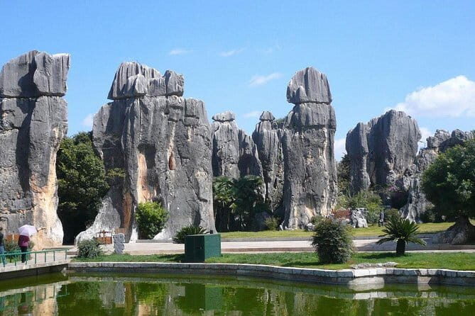 1-Day Stone Forest Geological Park Private Tour with the Lunch from Kunming - Why this Tour Is a Solid Choice for Visitors to Kunming