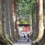 1-Day Togakushi: Soba making, Ninja Town and Hidden Shrines - Analyzing the Value: Is It Worth It?