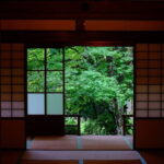 1 Day Tour Explore Nikkos World Heritage and National Park - Who Will Get the Most Out of This Tour?