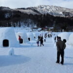 1 Day Tour Traditional Igloo Kamakura Festival and Snow Fun - Final Thoughts on the Experience