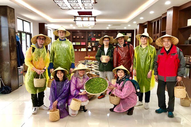 1-day Village Tea Picking, Roasting & Serving Guided Private Tour from Hangzhou - The Experience Control and Practicalities