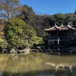 1 Day Walking Tour in Shinjuku and Shibuya: The Best of Both - Authentic Experiences That Stand Out