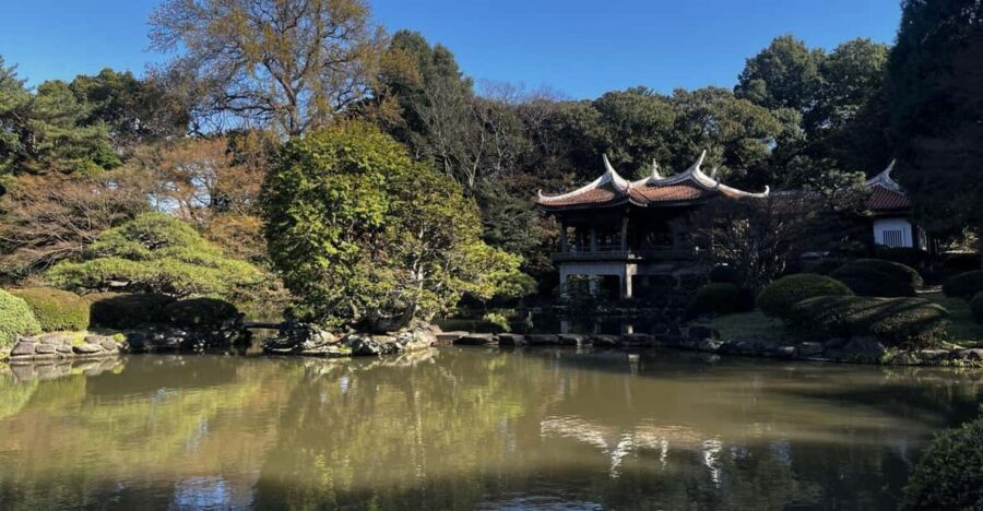 1 Day Walking Tour in Shinjuku and Shibuya: The Best of Both - Authentic Experiences That Stand Out