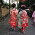 1 Hour Geisha Meeting and Show in Kyoto - The Performance: What to Expect and Why It Matters