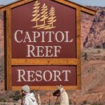 1-Hour Llama Hike Family Friendly and Fun - A Closer Look at the 1-Hour Llama Hike Experience