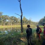 1 Night 2 Days Chitwan Safari Tour - What Makes This Tour Stand Out?