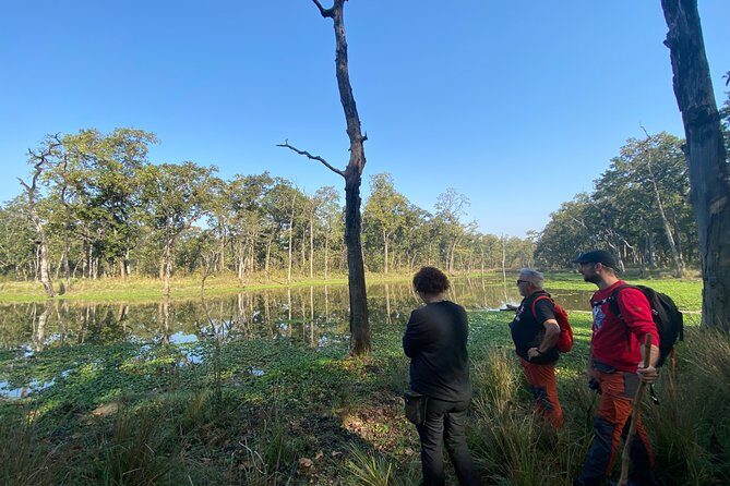 1 Night 2 Days Chitwan Safari Tour - What Makes This Tour Stand Out?