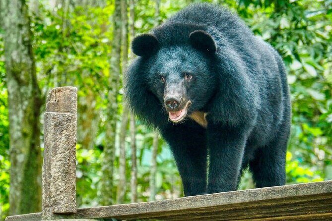 10 Day Ethical Animals Tour Where the Wild Things Roam - Why This Tour Works for You