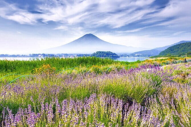 10 Day Japan Private Tour Unveiling Maximum Attractions - Exploring the Itinerary: A Deep Dive