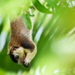 10-Day Tour in Galle, Yala, Ella, & Sigiriya with Train Ride - FAQs