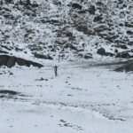 10 Days Annapurna Base Camp Trek From Pokhara - Guides and Facilities: What You Can Expect