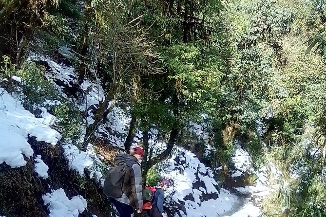 10 Days Nepal Trip - Heritage Kathmandu - Natural Pokhara and Poon Hill Trek - Authentic Experiences and Traveler Feedback