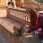 10-Days Rajasthan & Agra tour from Delhi Includes Hotels,Transportations & Guide - The Marvel of Agra: Taj Mahal and Mughal Monuments