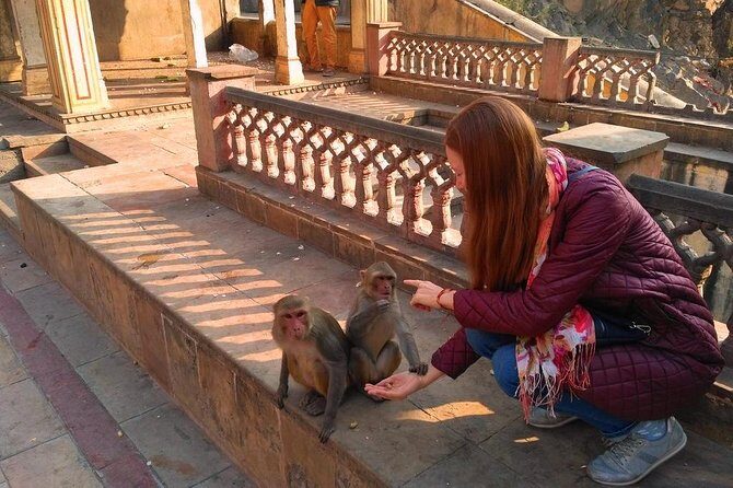 10-Days Rajasthan & Agra tour from Delhi Includes Hotels,Transportations & Guide - The Marvel of Agra: Taj Mahal and Mughal Monuments