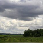 10-Hour Napa Valley Wine Tasting Tour Customized Private Tours - Practical Tips for Making the Most of Your Tour